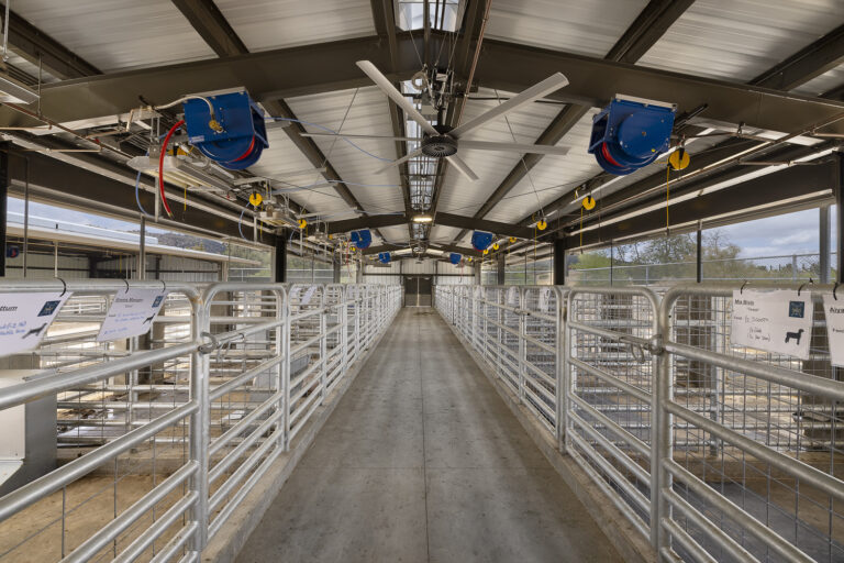 Trends in K-12 Building Design for 2025 and Beyond - School ...